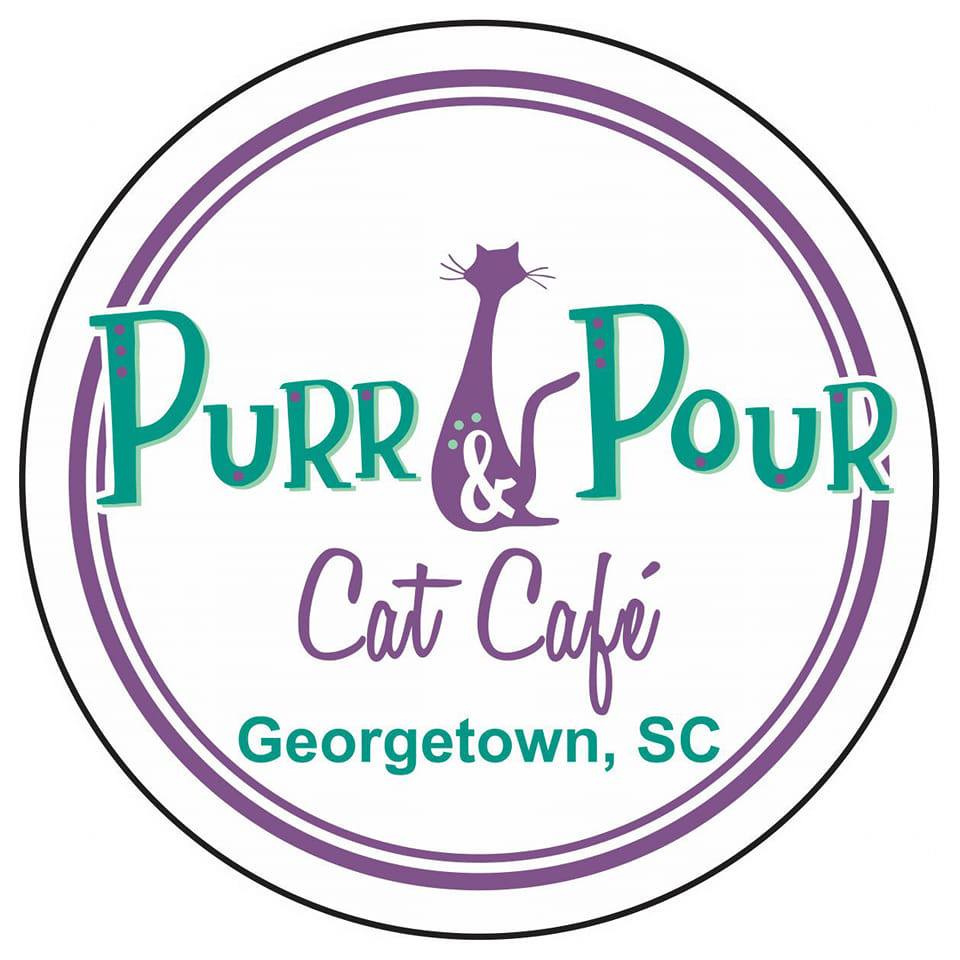 Purr and Pour Cat Cafe – Pick Me! SC
